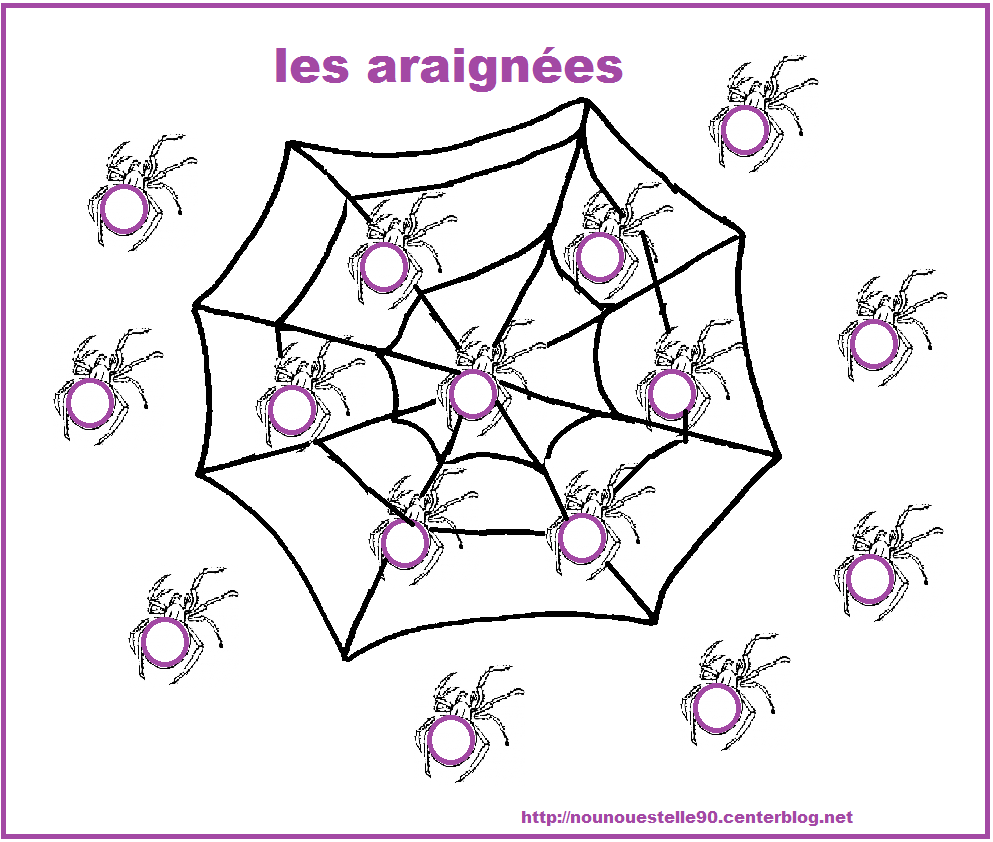 les araignées