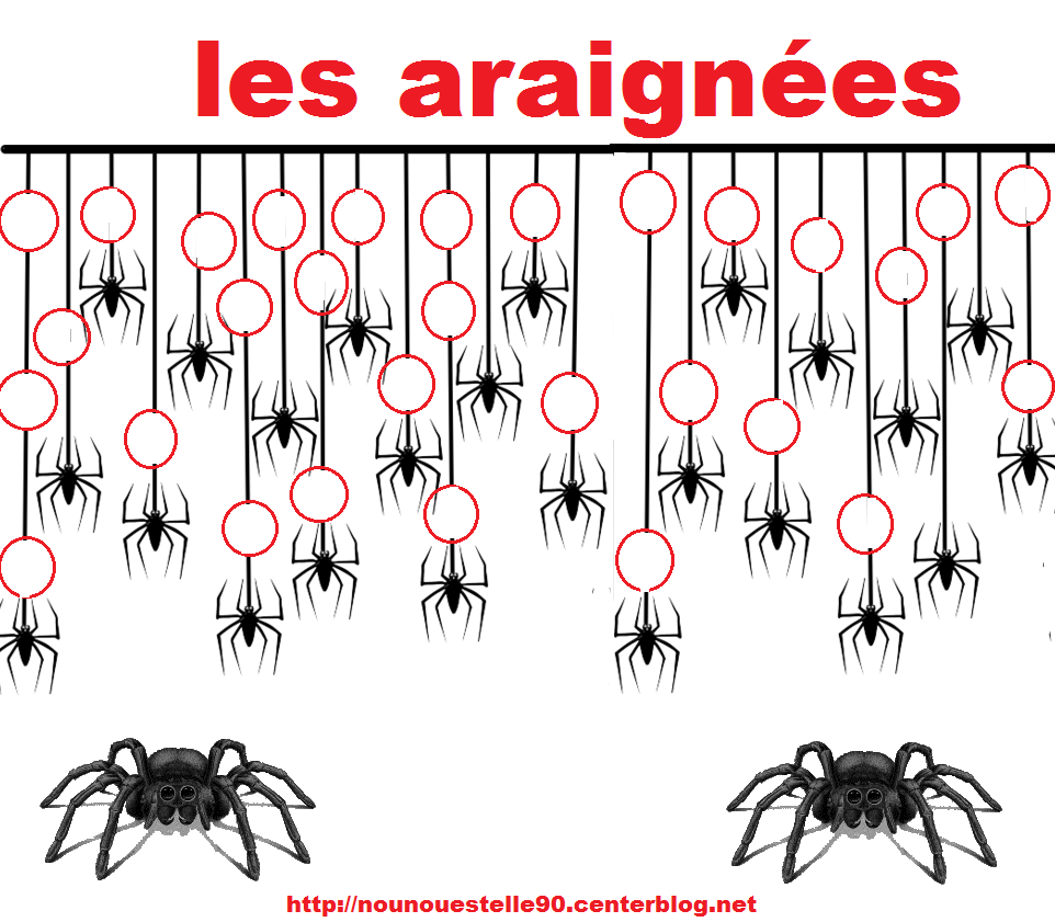 les araignées